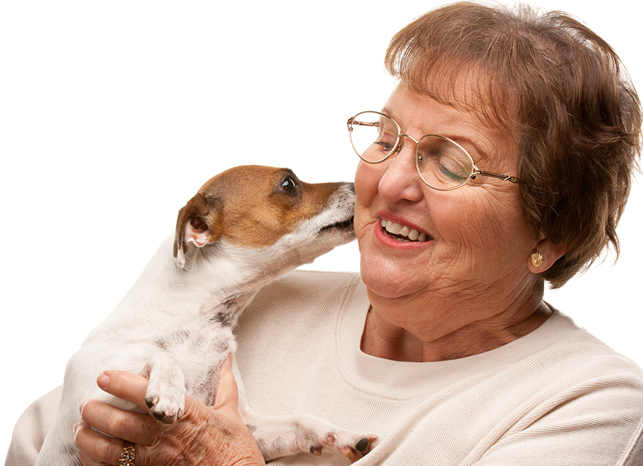 How it works for House Sitter | Mindahome Australia