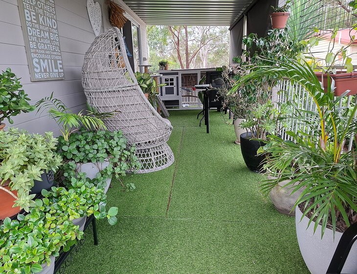 Lake Munmorah NSWPet & House Sitting Position (Sep 27 - Oct 5 ...
